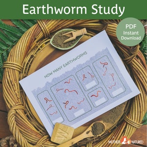 Earthworm Study Bundle | Earthworm Activities | Earth Worm Printables ...