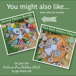 Mammal Matching Activity | Mammal Game | Pattern Activity | Preschool ...