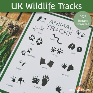 British Animal Tracks Guide | Animal Tracking for Kids | United Kingdom ...