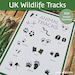 British Animal Tracks Guide Animal Tracking for Kids United Kingdom ...
