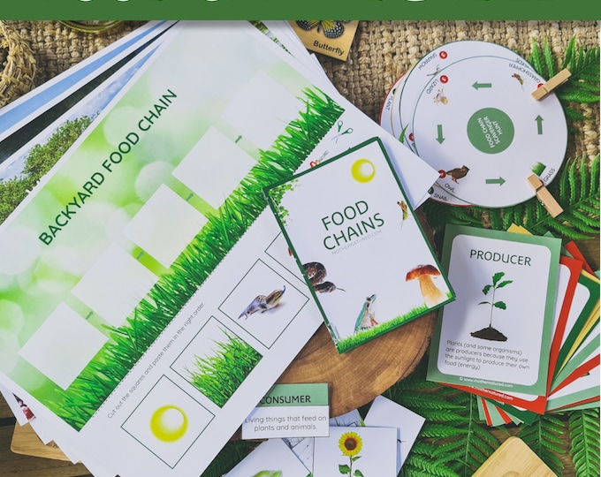 Food Chain Cards & Charts - Printable Montessori Science Cards ...