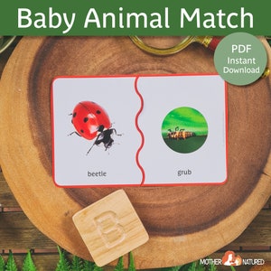 Baby Animal Match Cards | Adult and Baby Animal Matching Cards ...