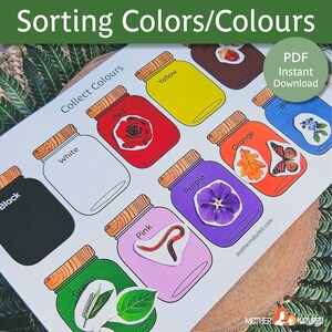 Sorting Color Activity | Sorting Colour Activity | Colour Recognition ...
