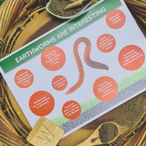 Earthworm Study Bundle Earthworm Activities Earth Worm - Etsy