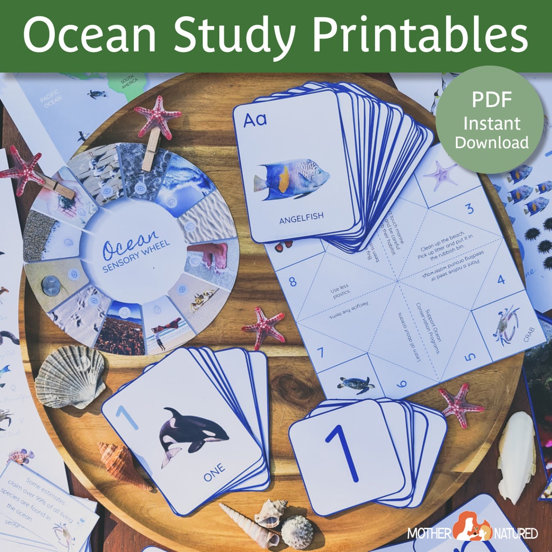 Ocean Printables | Ocean Activities | Under the Sea Printables | Under ...