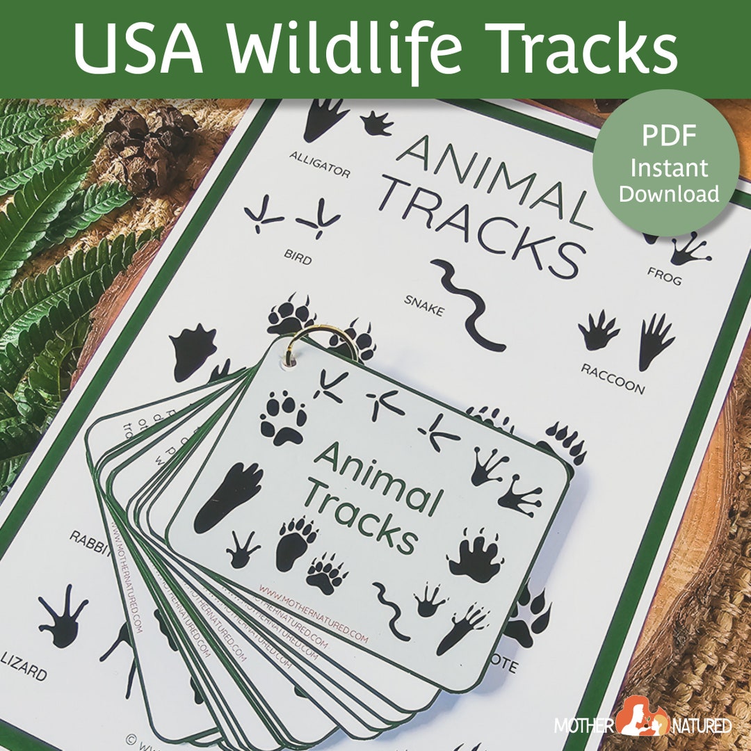 American Animal Tracks Guide | Animal Tracking for Kids | USA Animal ...