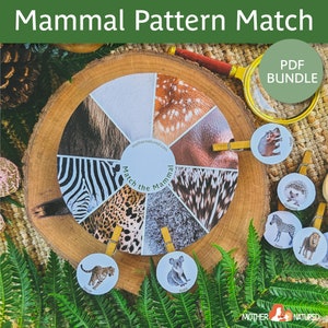 Mammal Matching Activity | Mammal Game | Pattern Activity | Preschool ...