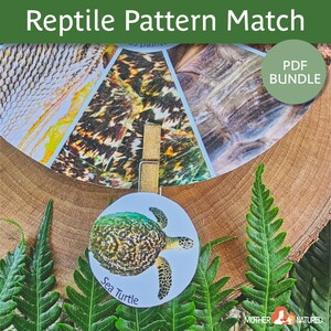 Reptile Matching Activity | Reptile Game | Pattern Activity | Preschool ...