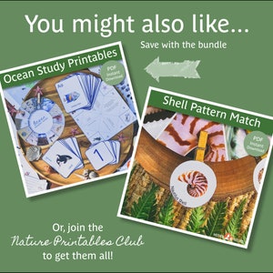 Ocean Chatterbox | Ocean Cootie Catcher | Ocean Chatter Box | Save Our ...