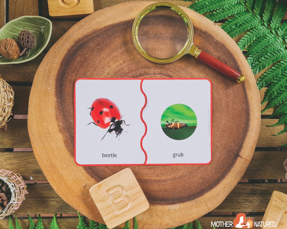 Baby Animal Match Cards Adult and Baby Animal Matching Cards - Etsy