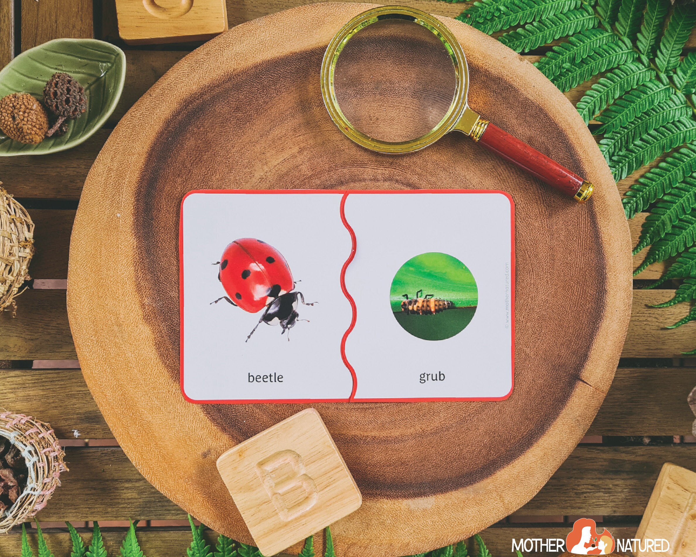 Baby Animal Match Cards Adult and Baby Animal Matching Cards - Etsy