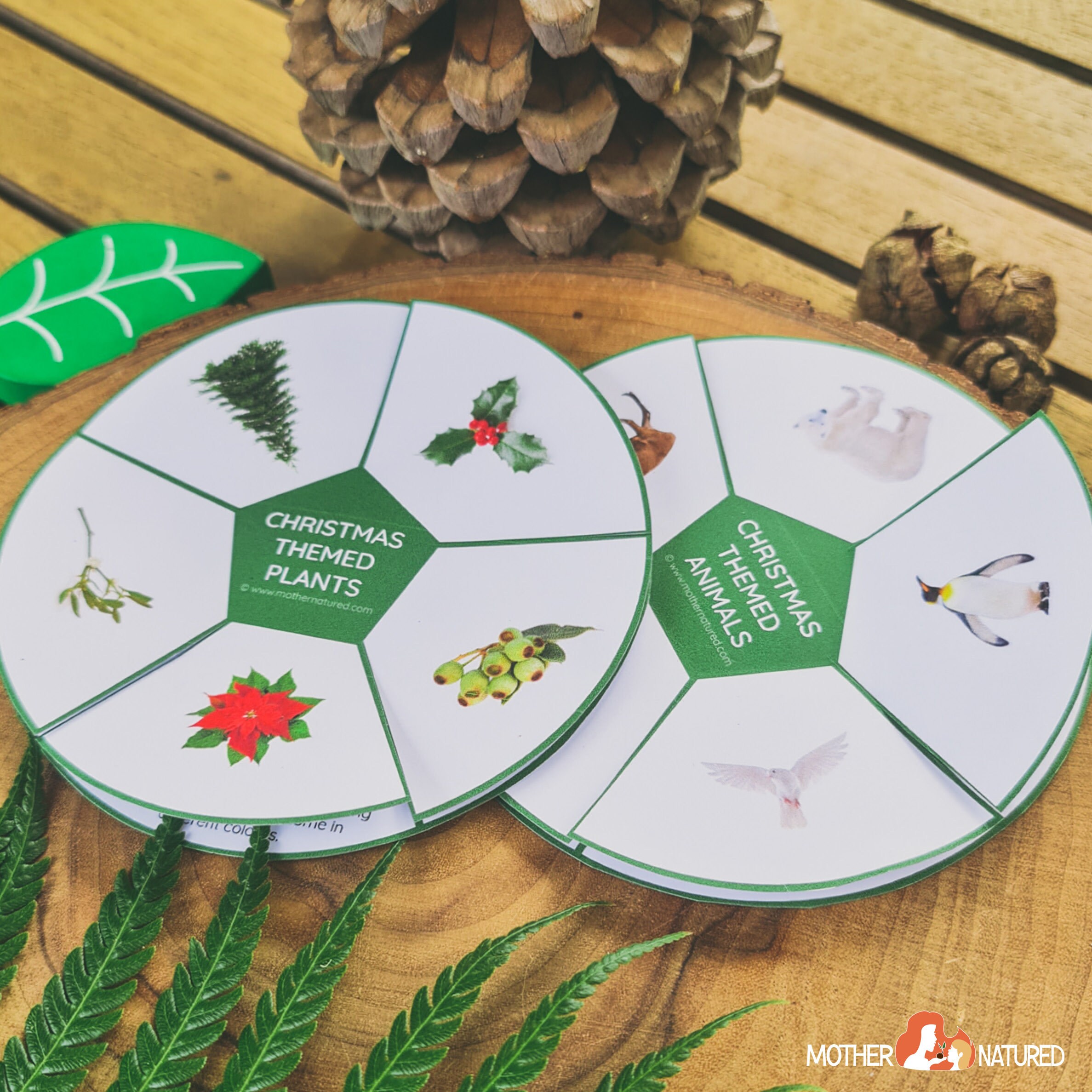 Christmas Nature Study Wheels Christmas Animal Study Christmas Plant ...
