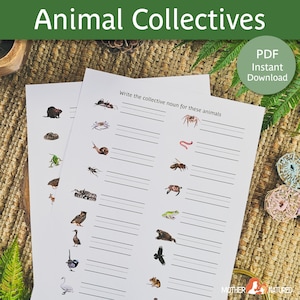 Animal Collective Noun Activities | Collective Nouns Activity ...
