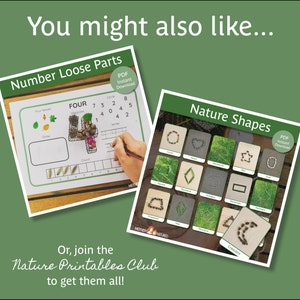 Animal Sorting Activity | Nature Sorting Activity | Outdoor Math ...