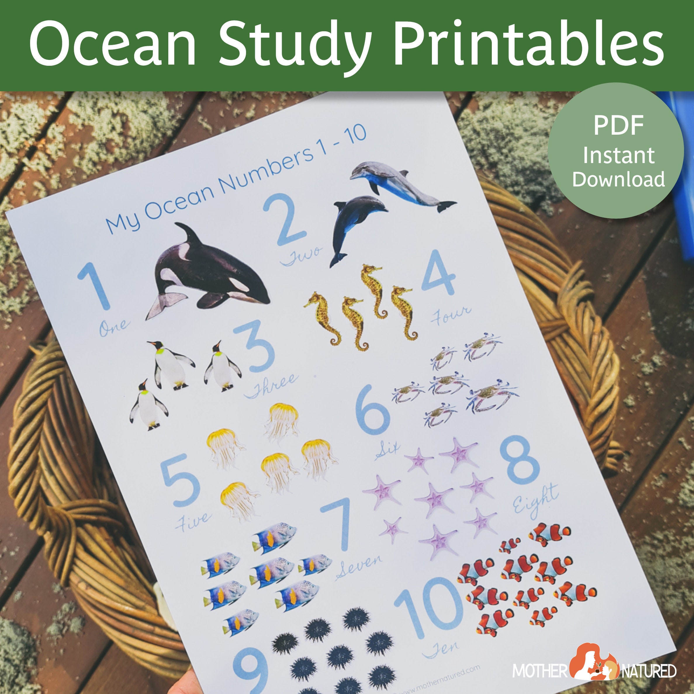 Ocean Printables Ocean Activities Under the Sea Printables - Etsy