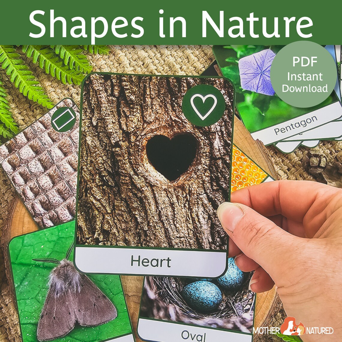 Nature Shapes Poster and Cards | Nature Shapes Preschool | Nature ...
