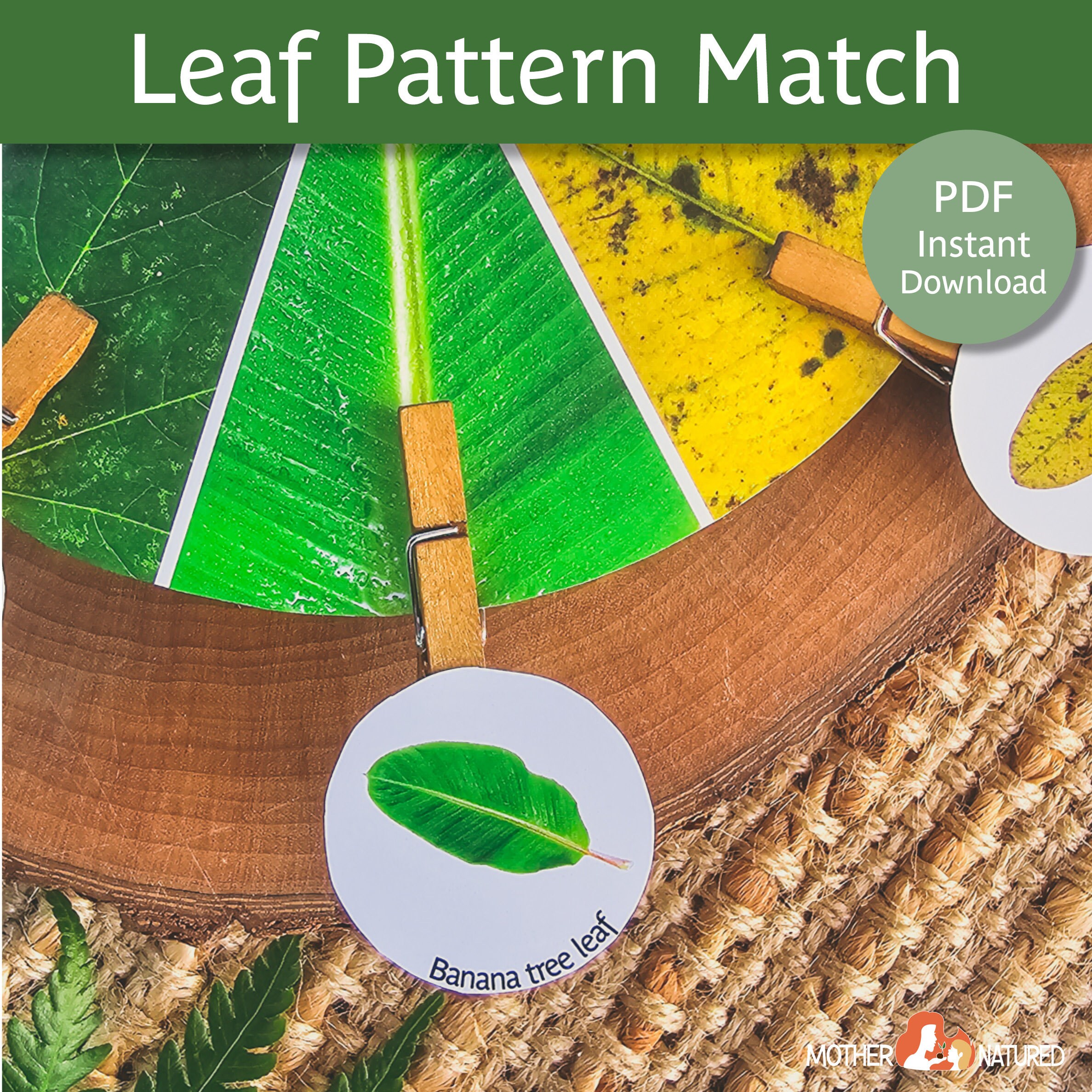 Leaf Matching Activity Leaf Pattern Activity Autumn Study Printable ...