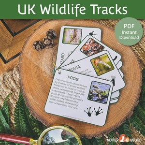 British Animal Tracks Guide | Animal Tracking for Kids | United Kingdom ...