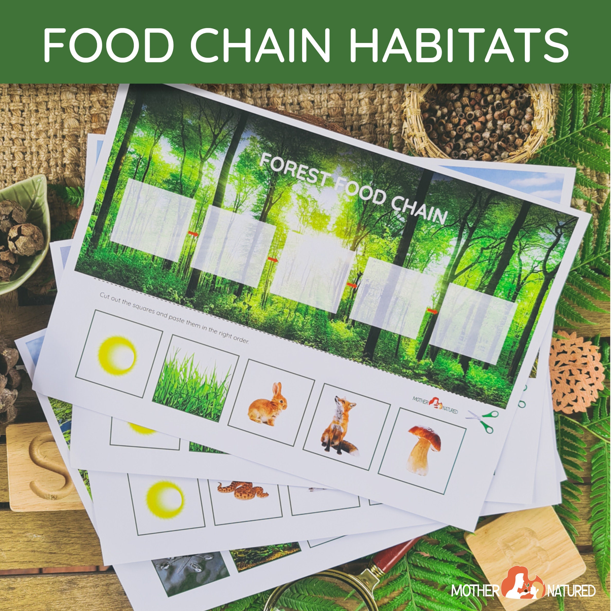 Food Chain Printables Bundle | Food Web Printables Bundle | Food Chain ...