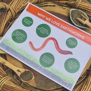 Earthworm Study Bundle | Earthworm Activities | Earth Worm Printables ...
