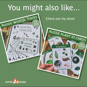 Australian Animal Puppets | Koala Puppets | Kangaroo Puppets | Wombat ...