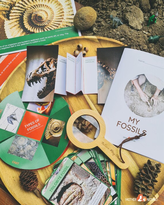 FOSSIL Printables for Kids Fossil Bundle Dinosaur Digital | Etsy