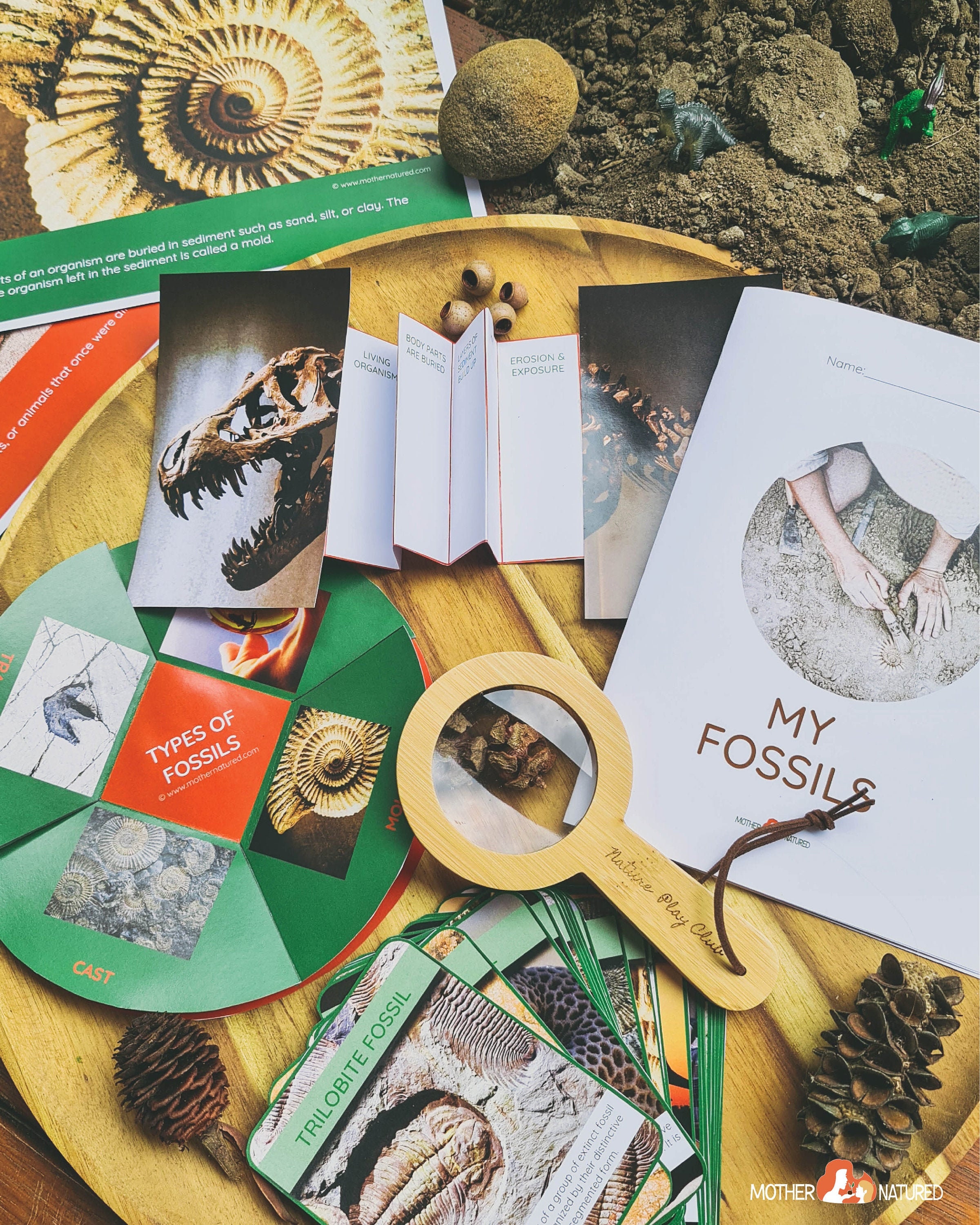 FOSSIL Printables for Kids Fossil Bundle Dinosaur Digital | Etsy