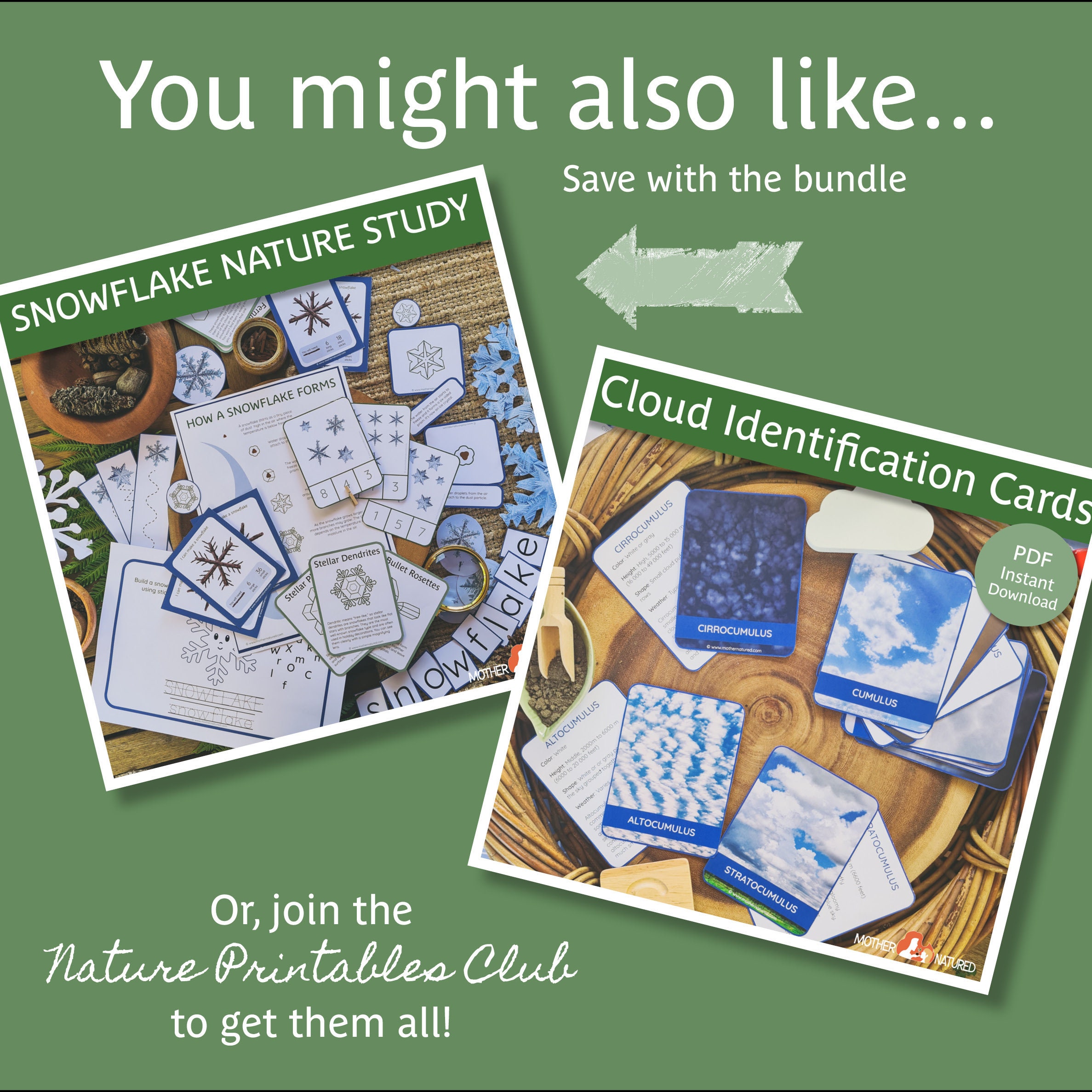 Types of Snowflakes Poster Snow Poster Snowflake Poster Winter Poster ...