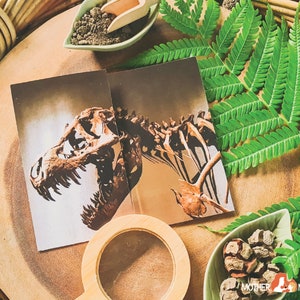 How Fossils Are Formed Accordion Craft FOSSIL CRAFT - Etsy