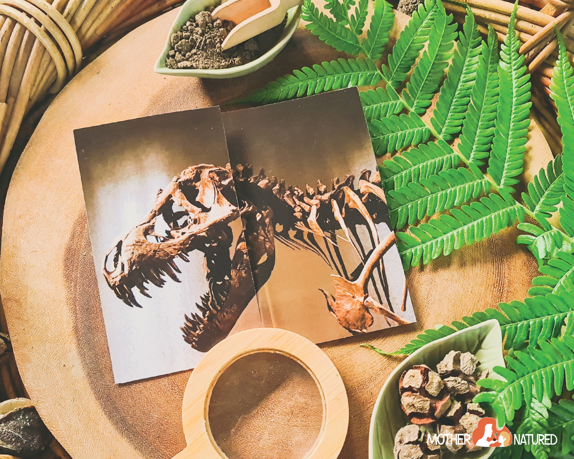 How Fossils Are Formed Accordion Craft FOSSIL CRAFT - Etsy