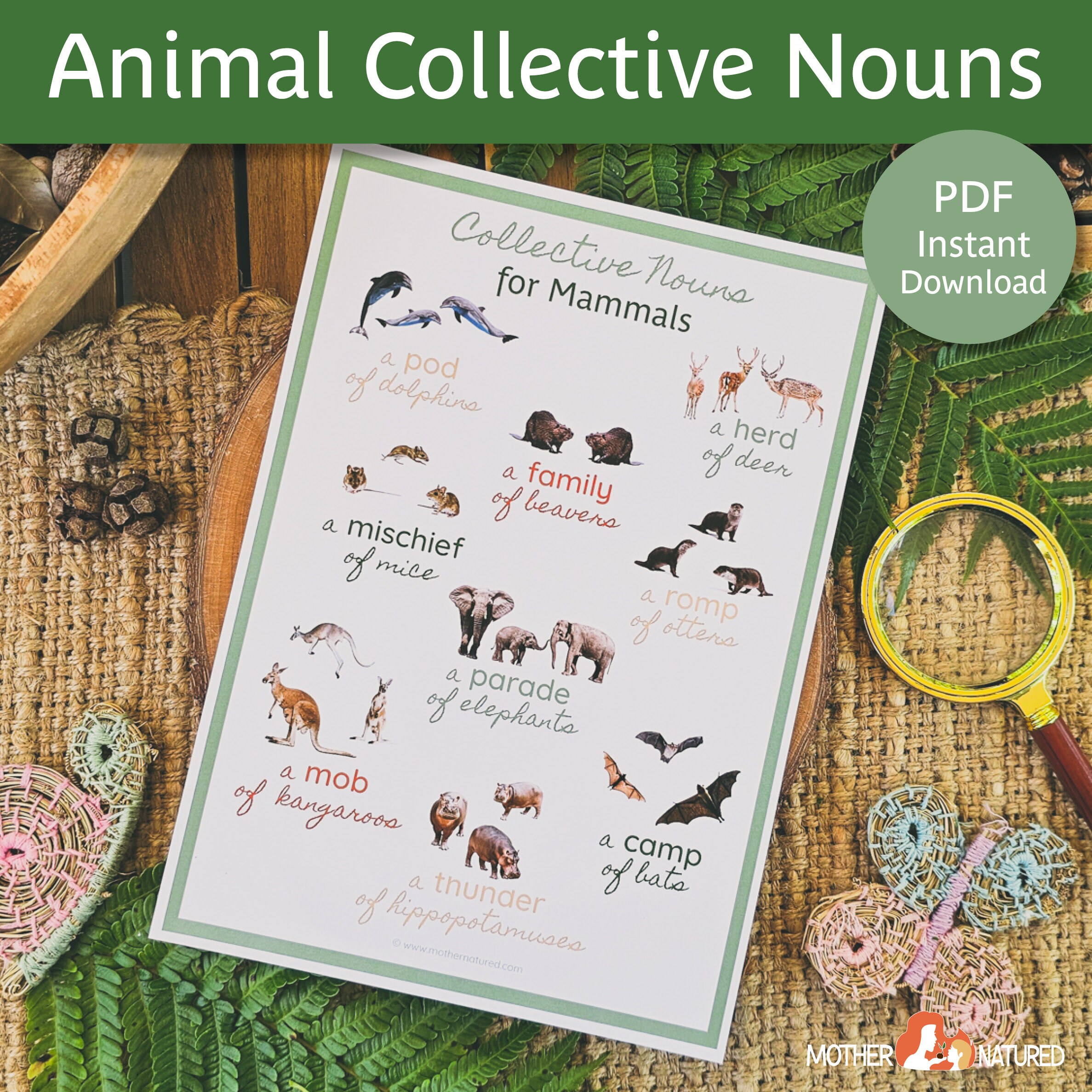 Collective Nouns for Animals | Collective Nouns Poster | Collective ...