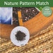 Nature Matching Activity | Nature Activity | Nature Printable | Nature ...