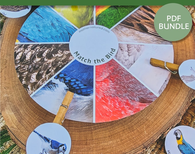 Backyard Birds Play Dough Mats Fine Motor Skills Visual Cards ...