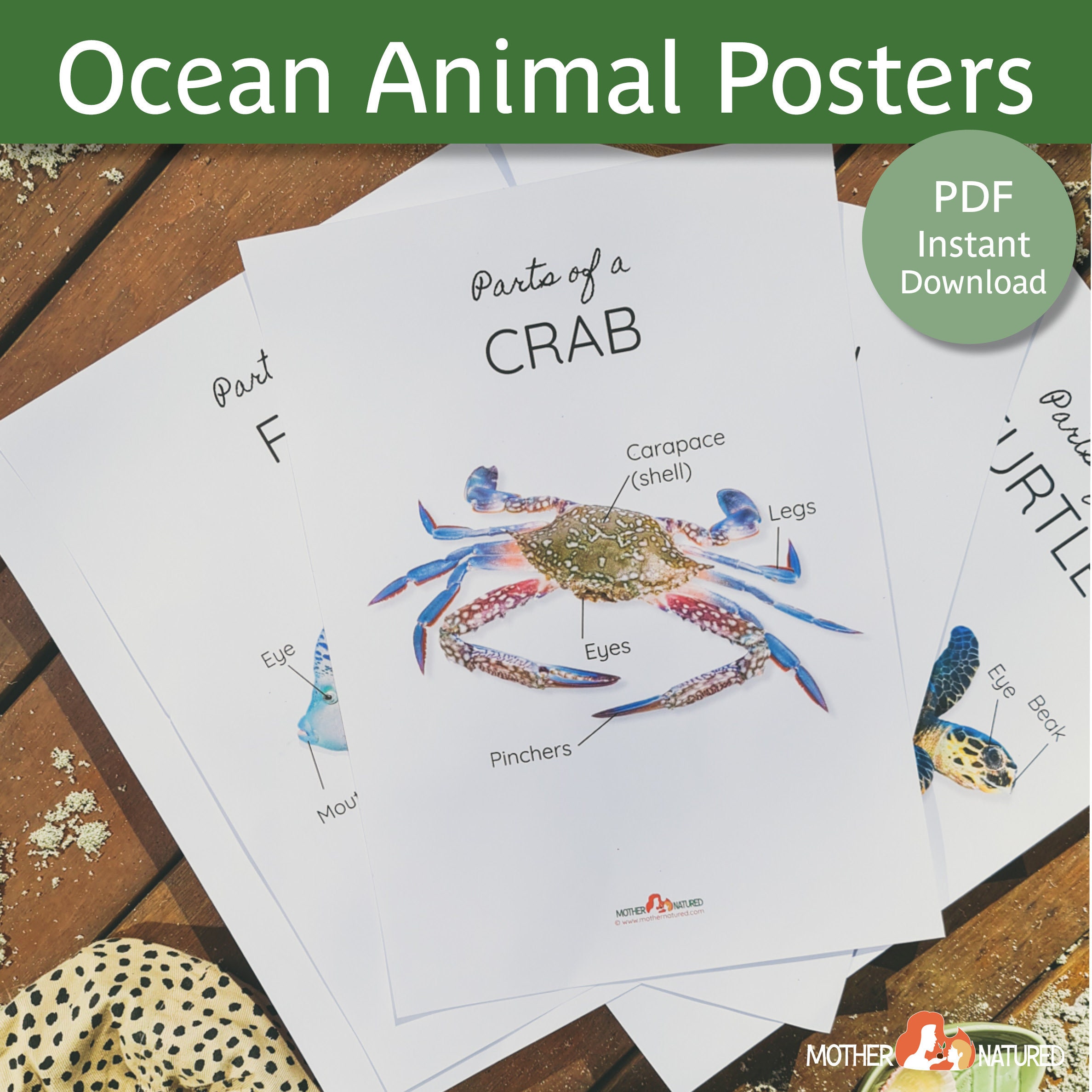 Ocean Animal Posters Marine Animal Posters Parts of Posters Under the ...