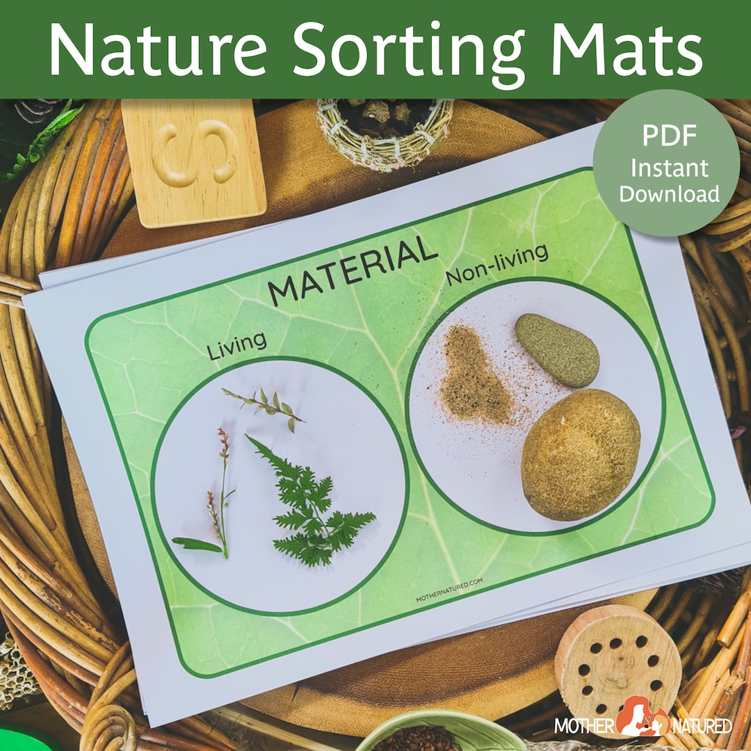 Sorting Mats for Kids | Classifying Nature Printables | Sorting Natural ...