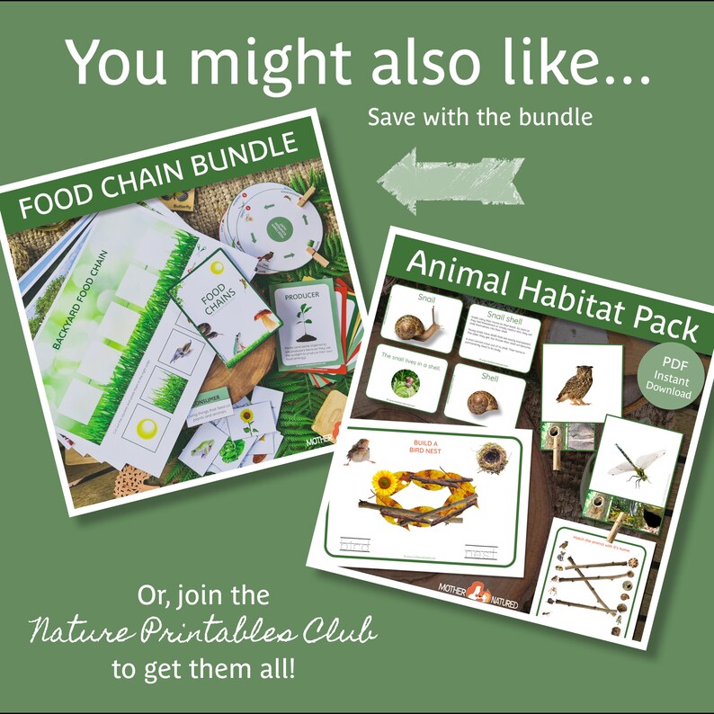 Food Chain Book | Food Chain Activity | Food Chain Worksheet | Food ...