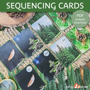 Life Cycle Sequencing Cards | Nature Sequence Activity | Wildlife ...