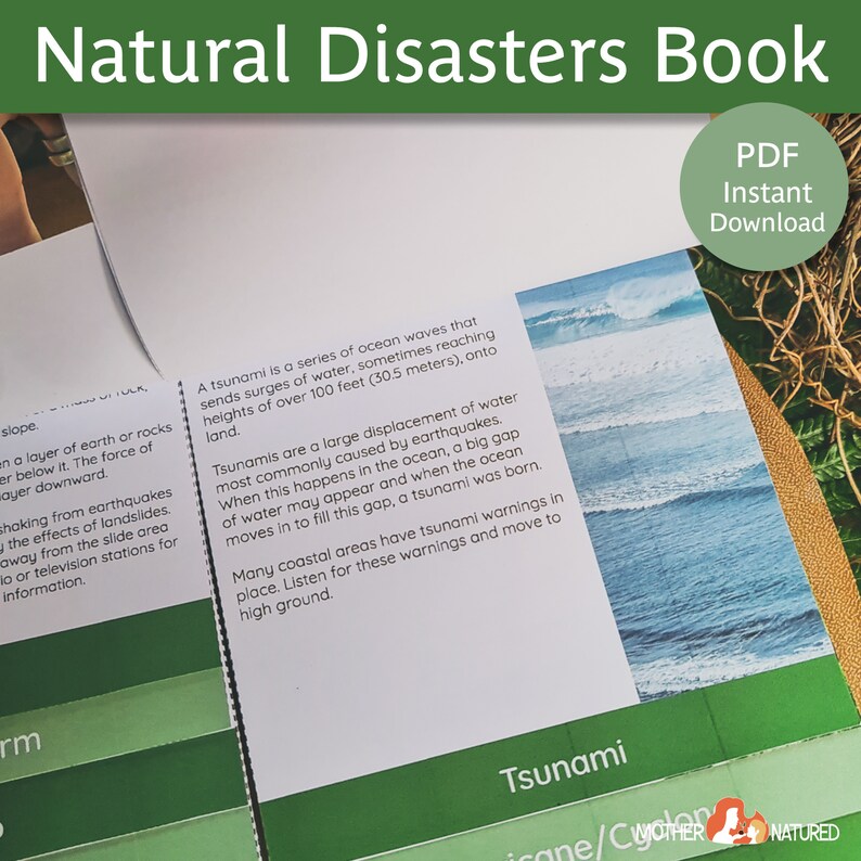 Natural Disaster Worksheet Natural Disasters Booklet Natural Disasters ...
