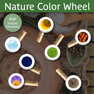 Nature Color Hunt | Nature Colour Activity | Nature Color Wheel ...