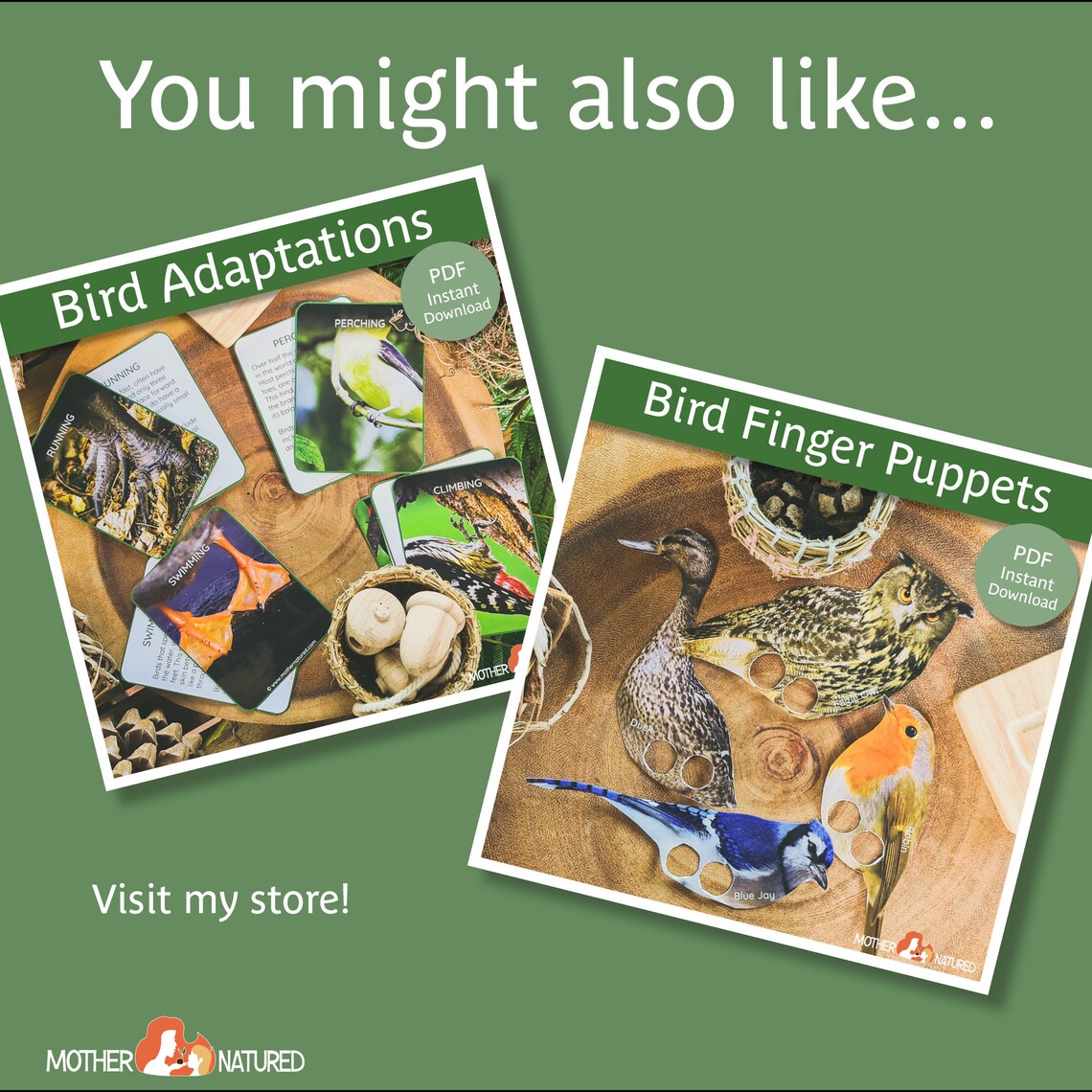 TYPES of FEATHERS Cards Feather Features Animal Adaptations How to ...