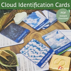 Cloud Identification Cards | Types of Clouds | Clouds Printable Cards ...
