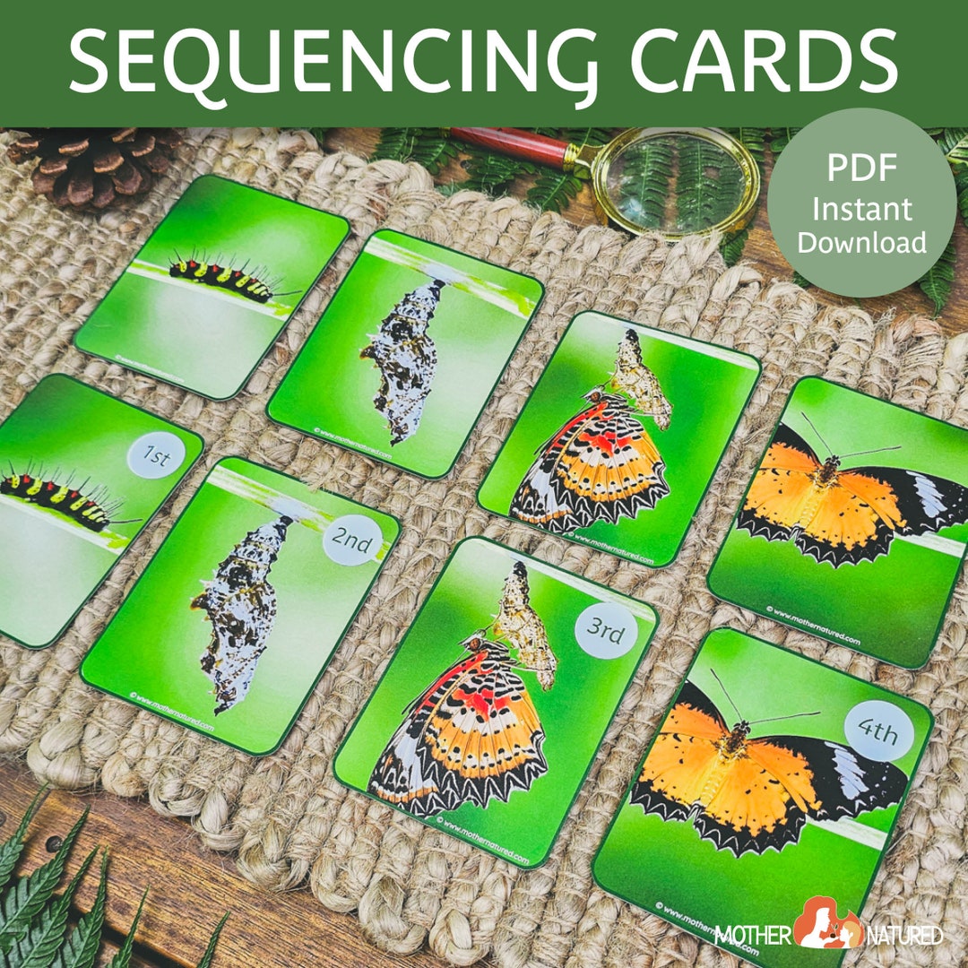 Life Cycle Sequencing Cards | Nature Sequence Activity | Wildlife Sequence Activity | Animal ...