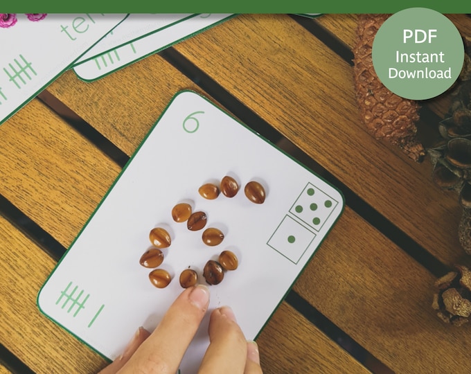 Montessori Math STEM Activity Set | Handmade Number Sense Kit | Loose ...