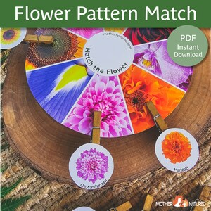 Flower Matching Activity | Flower Pattern Activity | Flower Study ...