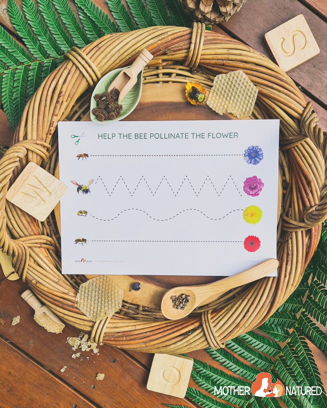 Honey Bee Activity Pack - Etsy