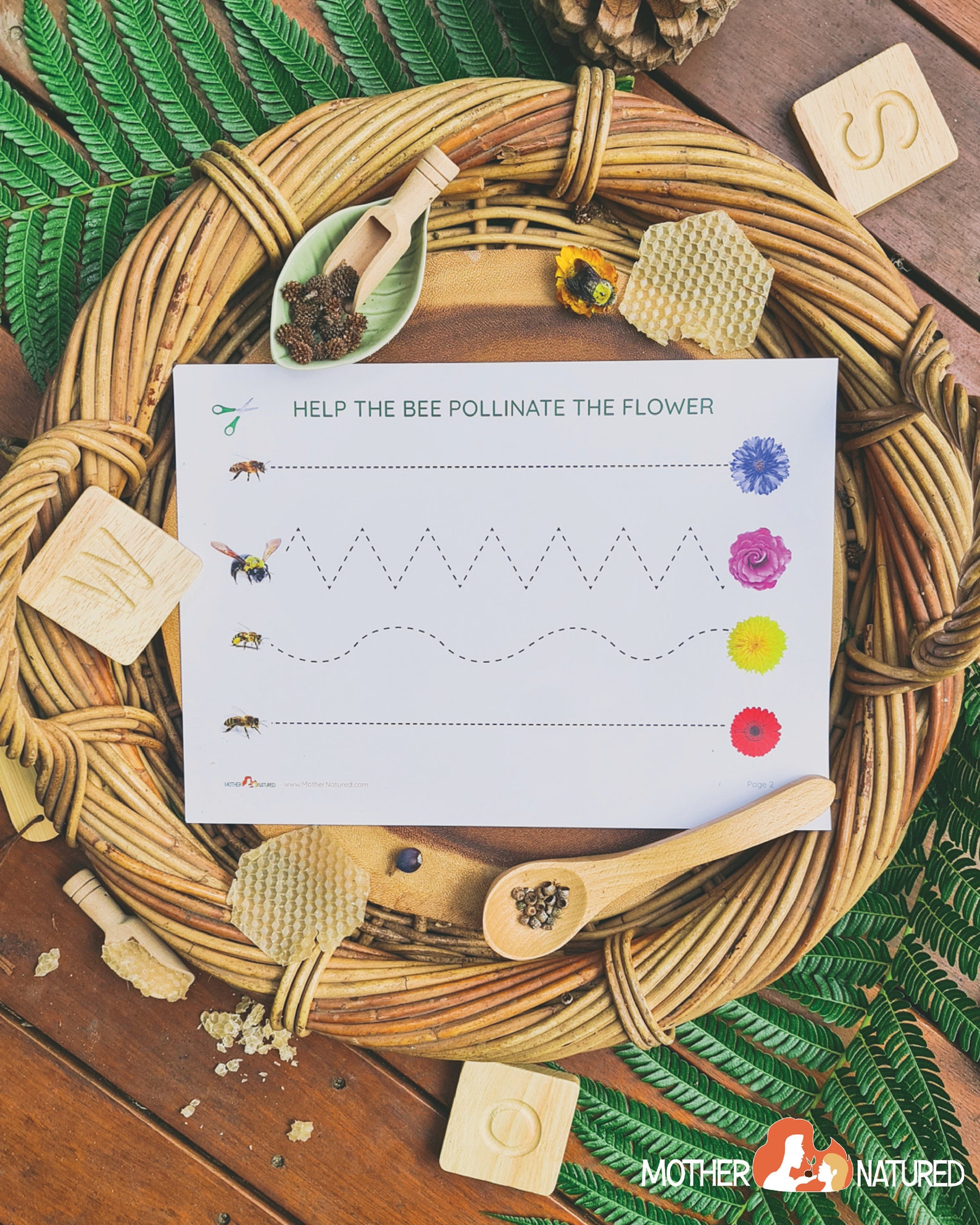 Honey Bee Activity Pack - Etsy