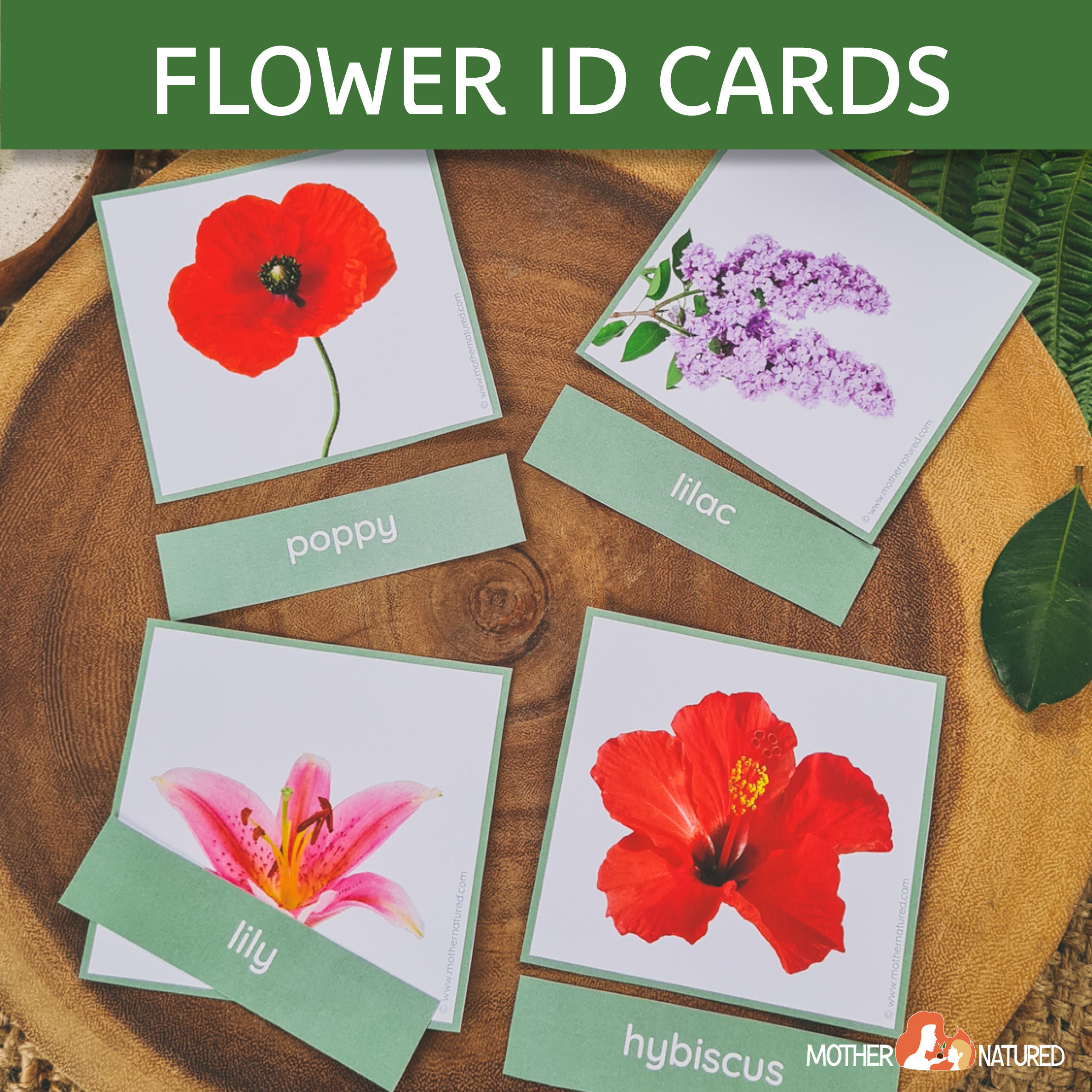 Flower Identification Cards Flower Cards Flower Study Flower Activity ...