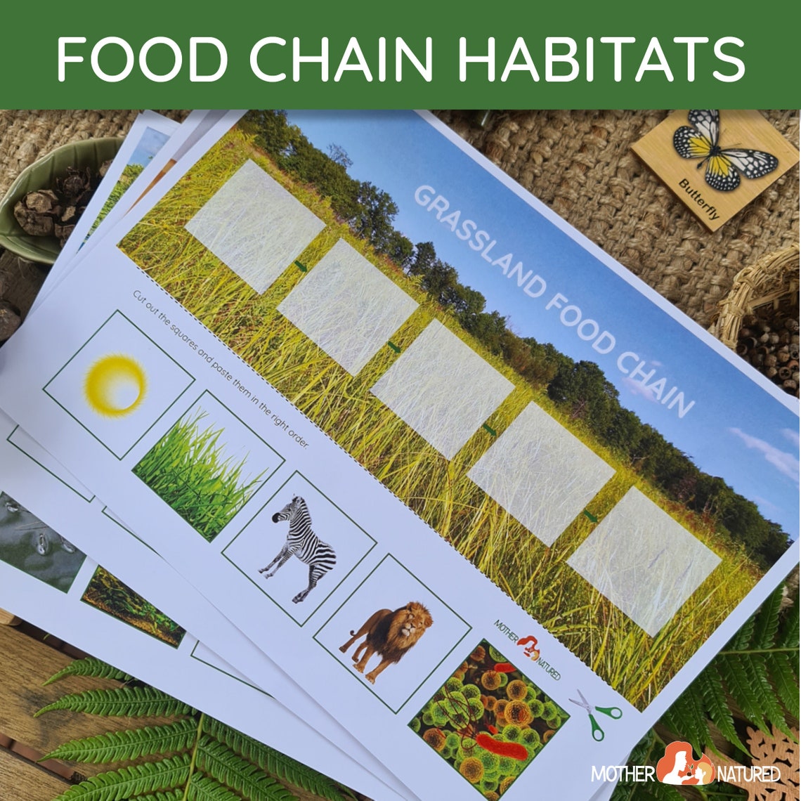 Food Chain Habitat Worksheets | Food Chain Activity | Food Chain ...