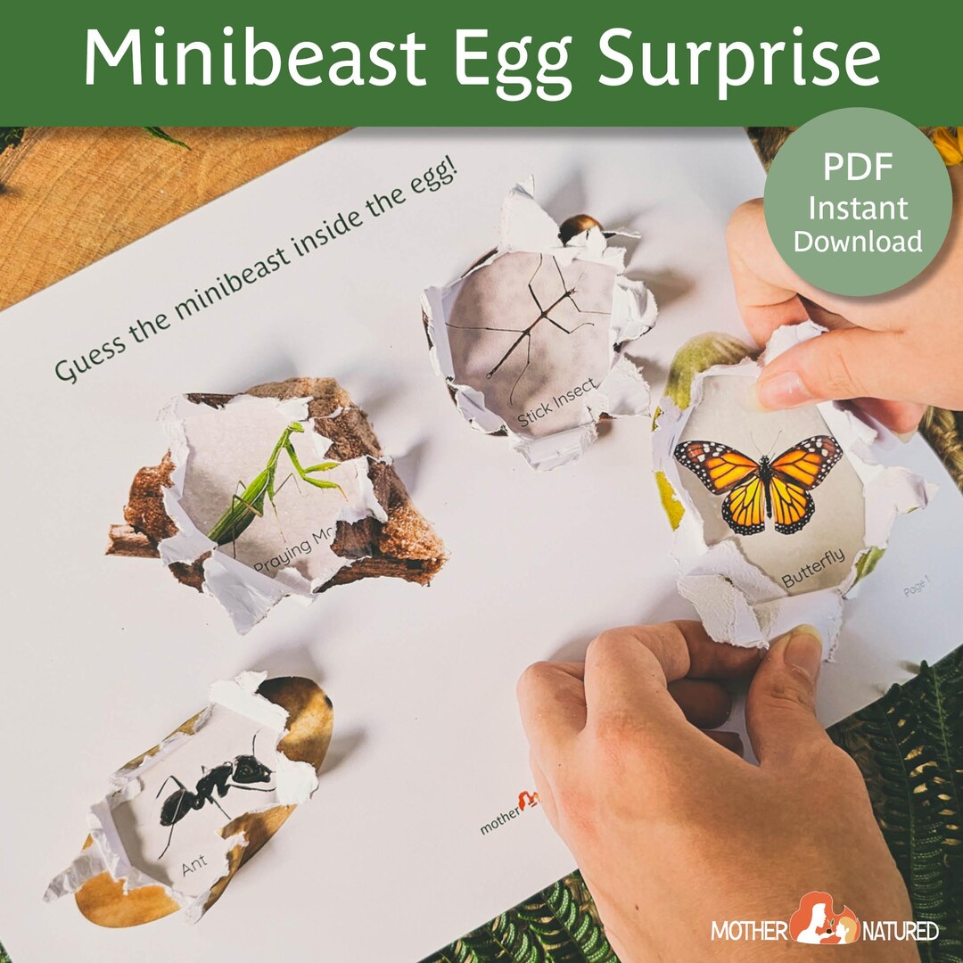 Minibeast Egg Surprise Game | Insect Egg Activity | Insect Easter Egg ...