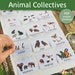 Animal Collective Noun Activities | Collective Nouns Activity ...
